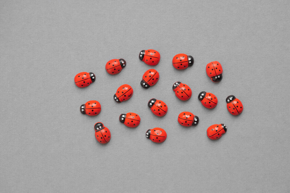 Counting Bugs - CC Pace