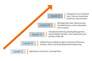 Agile Transformation Maturity - CC Pace